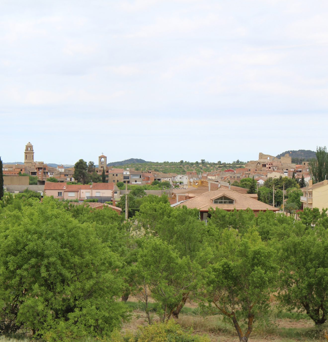 Ancient town and the Albi castle - Turisme de les Garrigues
